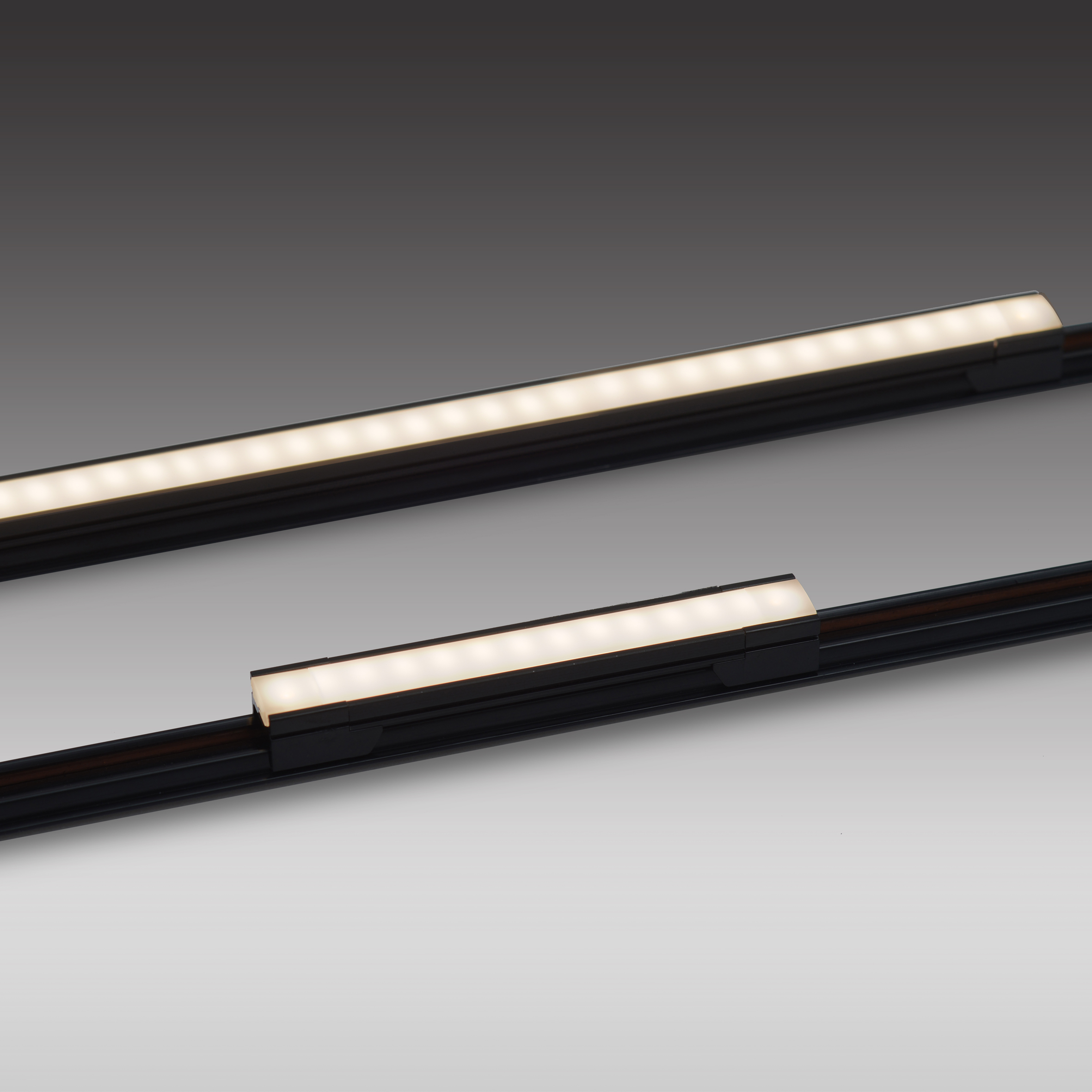 RISE LIGHTING -SINCE1987